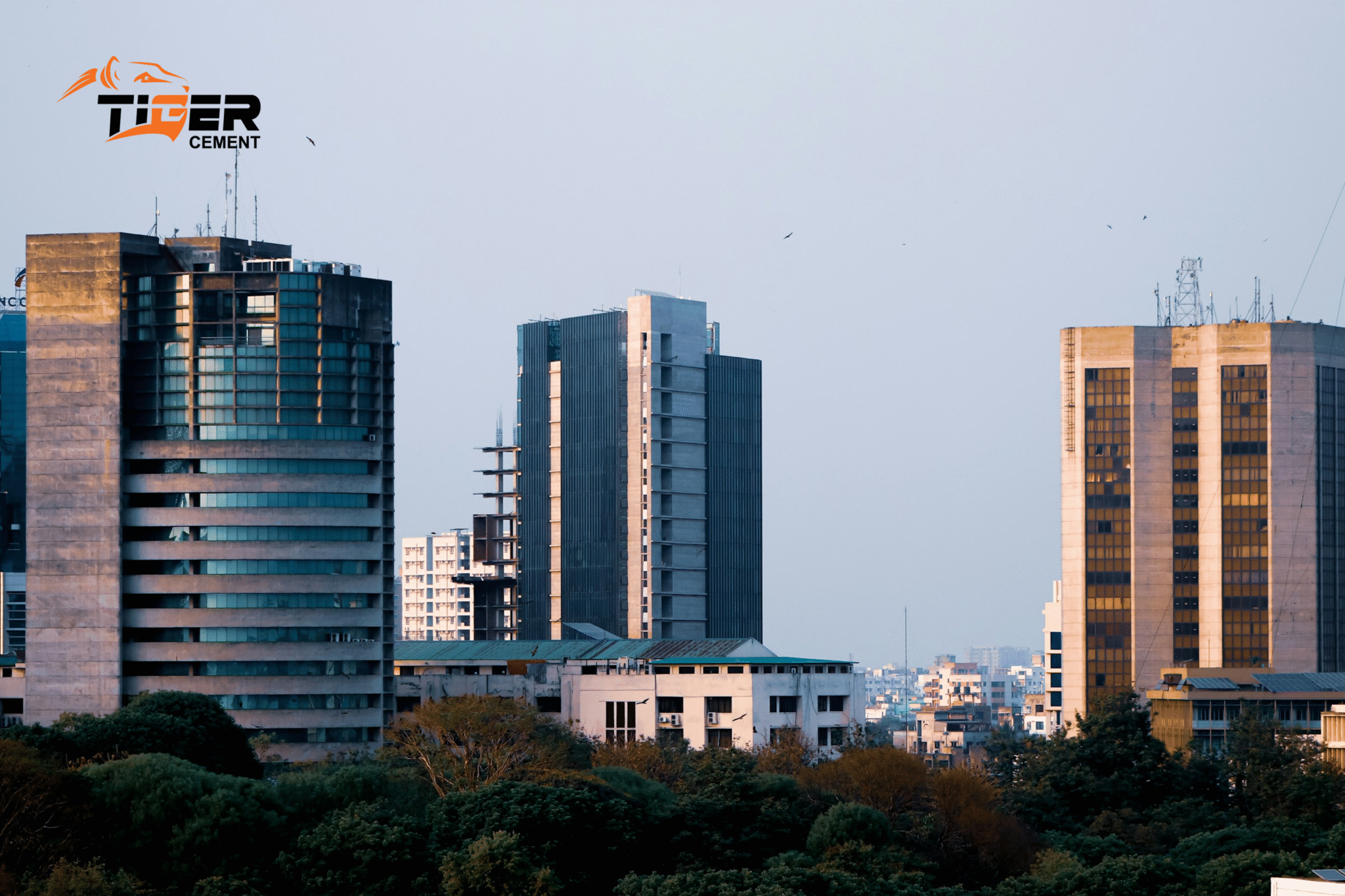 Trusted Cement Manufacturer Dhaka | Tiger Cement